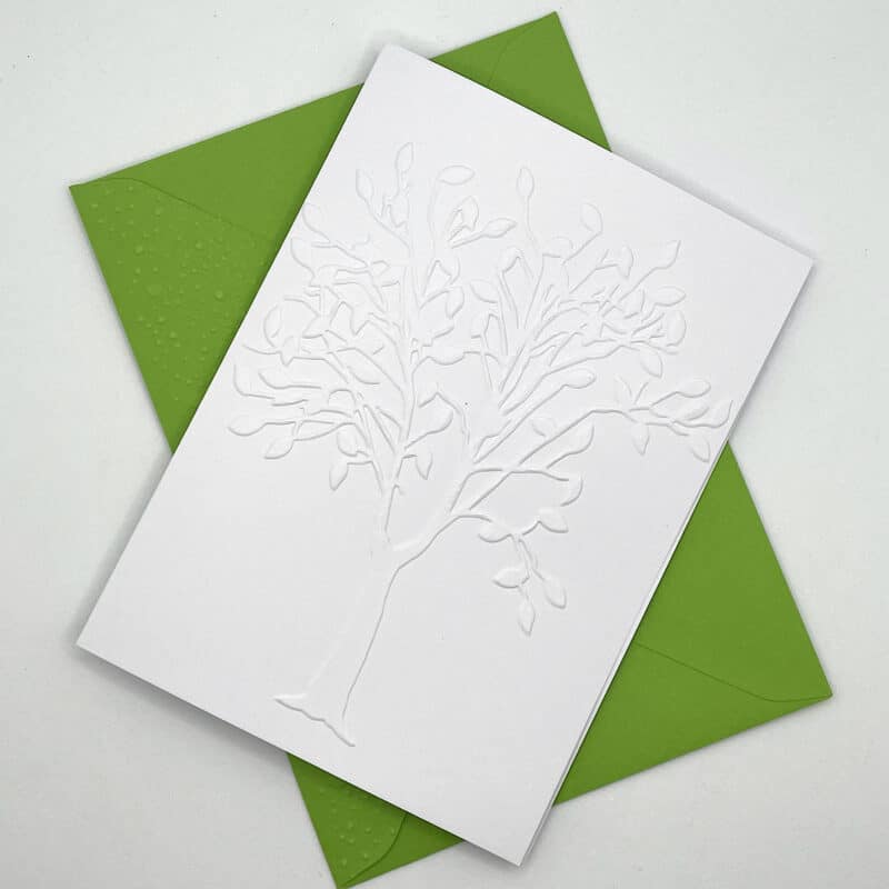Tree with Leaves Note Cards - Pack of 6 White Embossed Nature Note ...